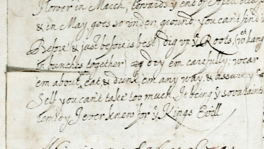 Suet, Snails and Stinking Roger | National Library of Ireland